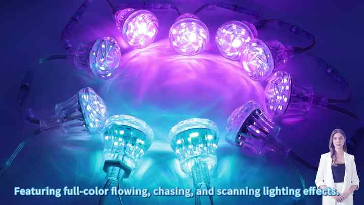 18LED RGB Pixel LED Controlled 56mm Copper Body IP66 DC24V Point Lights ...
