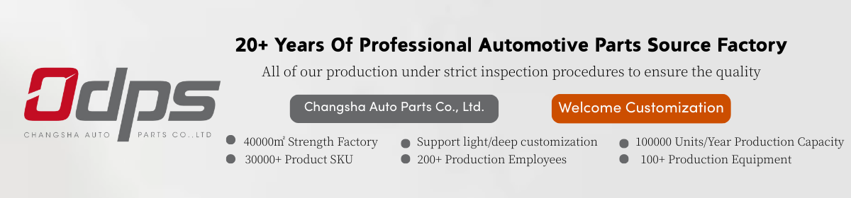 Company Overview - Changsha Auto Parts Co., Ltd.