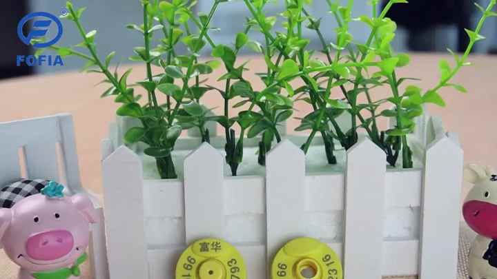 Fofia ICAR Certified Plastic Ear Tags for Cattle & Goats | ISO ...
