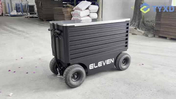 Custom Mini Aluminum Rolling Workshop Pit Carts for Racing