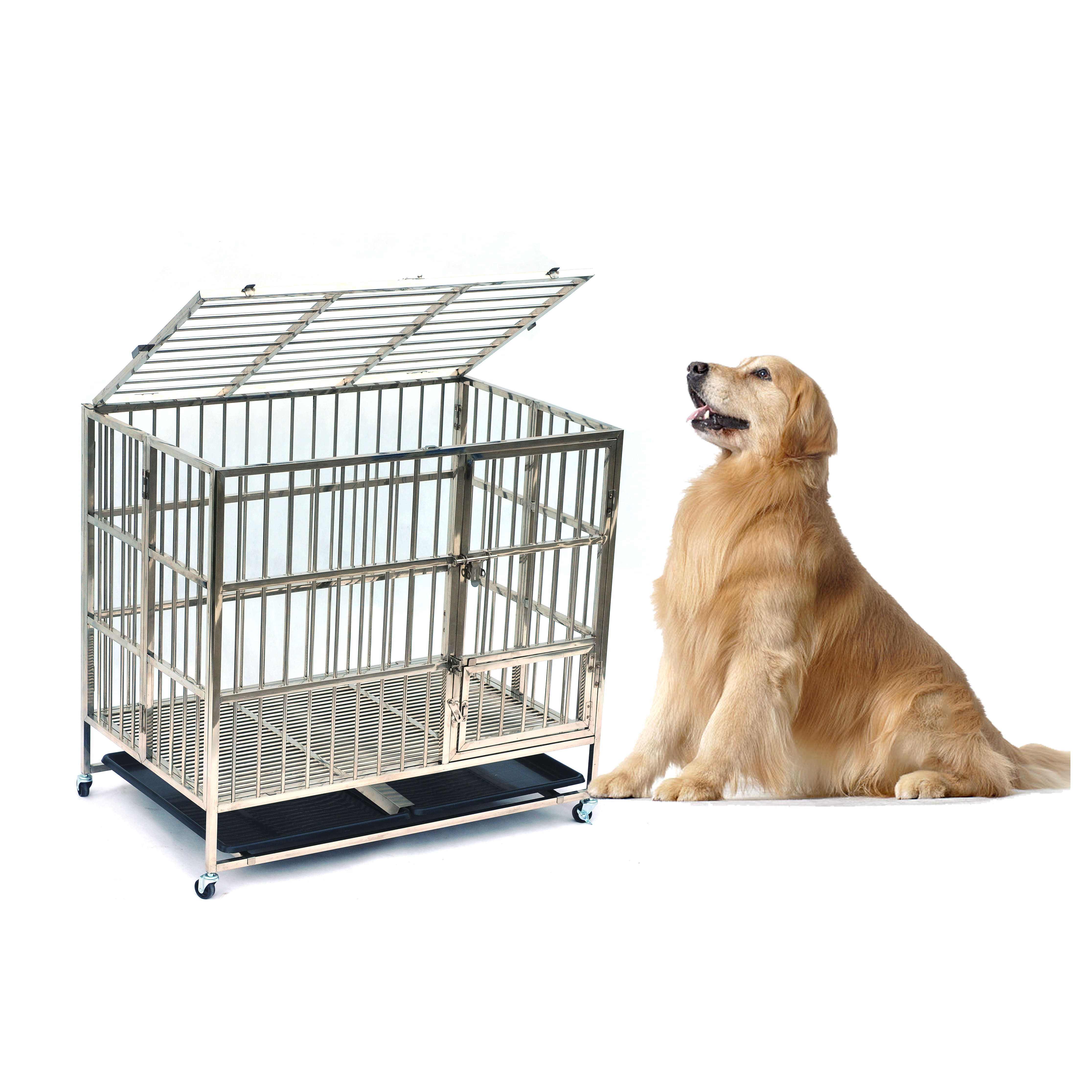 Promoción spanish, Compras online de spanish promocionales ...