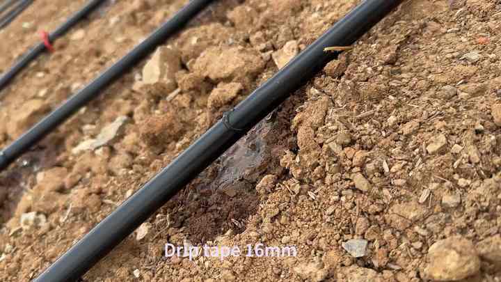 16mm Drip Tape 2000m 1 Hectare Drip Irrigation System Drip Tape with ...