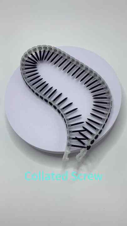 Anti-Corrosion Galvanized Black Yellow Zinc Coarse Collated Screws ...