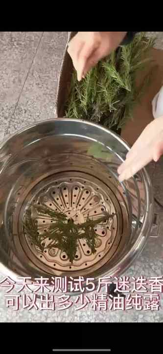 Distilling Steam Distillation Plants Equipment for Essential Oils