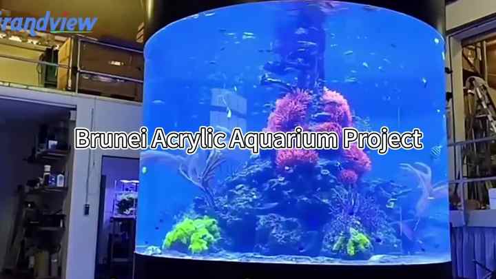 Salt Water Aquarium Fish Tank - 50mm Acrylic Jellyfish Big Cylinder