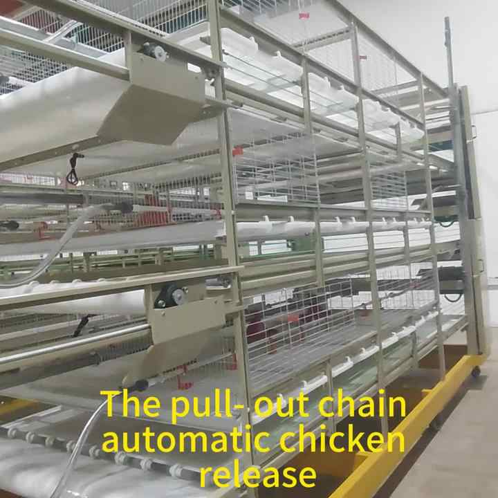 h Type Pull Push Style Broiler Cage with Multi Layer Structure ...
