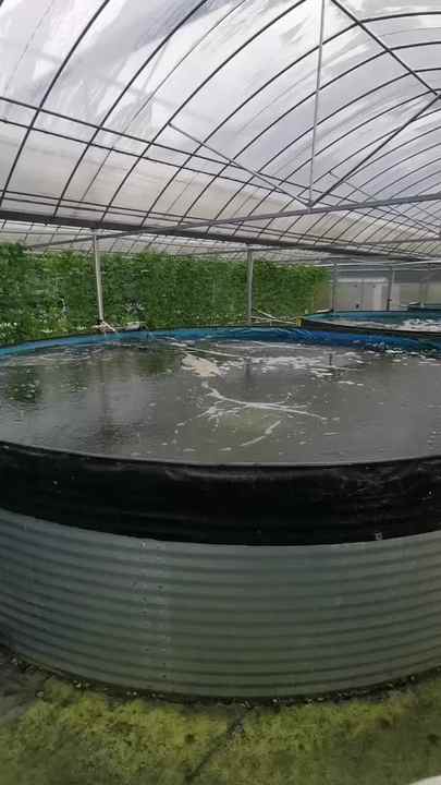 Modular Round Corrugated Steel Water Tank Rainwater Collection Fire ...