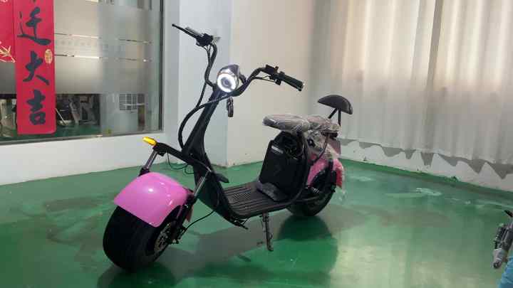 Citycoco Halley Electric Motor Scooter Motorcycle Bike for Brazil 1000w ...