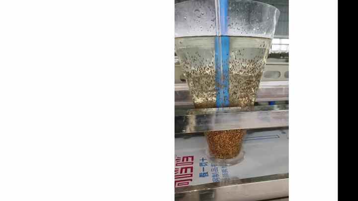 10 Jars Customize Design Tilapia Incubator System Other Aquaculture ...