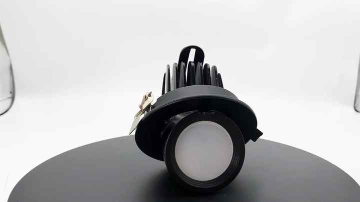 AC220V Recessed Ceiling Focus Spot Down Lamp 7W 10W 12W 15W 20W ...