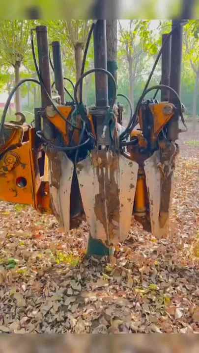 Tree Diggers by SHENGHENG - Efficient and Safe Tree Moving