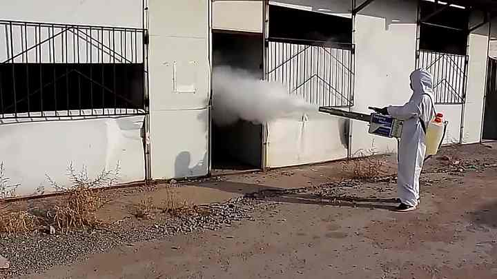 Portable Cordless Thermal Fogger Backpack Mist Machine for Farm Pest ...