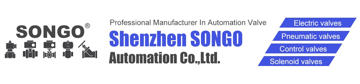 Company Overview - Shenzhen Songo Automation Co., Ltd.