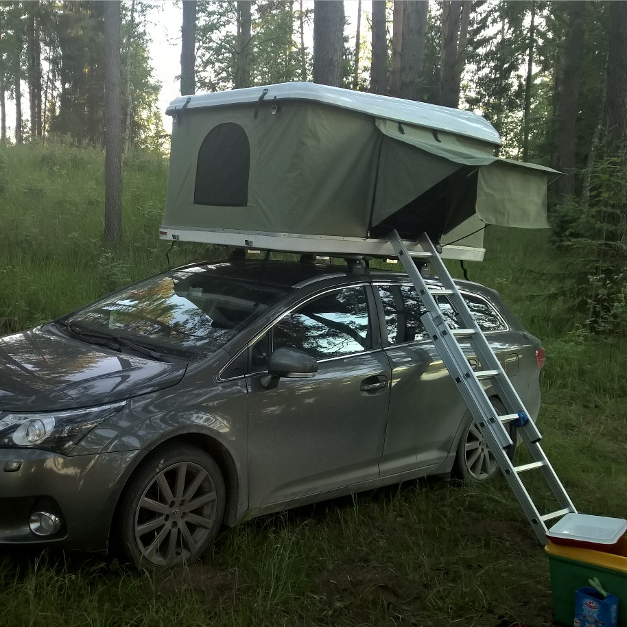 Catálogo de fabricantes de Coche Techo Abierto de alta calidad y Coche ...
