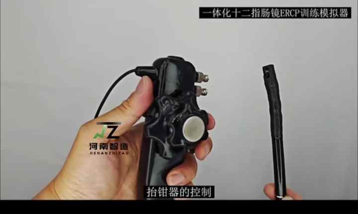 Gastroscopy Surgery Training Model, ERCP Operation, Duodenoscope ...