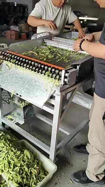 Commercial Edamame Bean Shelling Peeling Machine Electric Green Beans ...