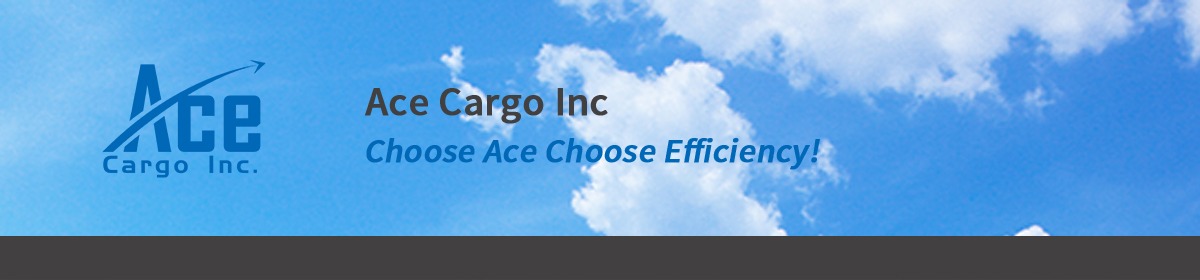 Company Overview - Ace Cargo Inc.