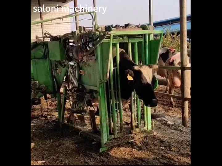 Saloni Cattle Hoof Trimming Machine - High Quality & Durable