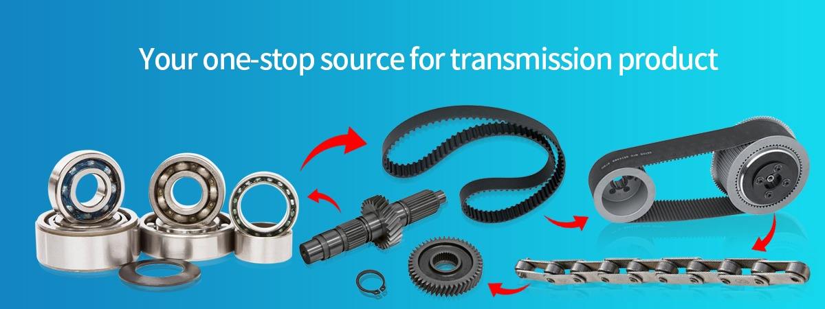 Company Overview - Wenzhou Qilian Import And Export Co., Ltd.