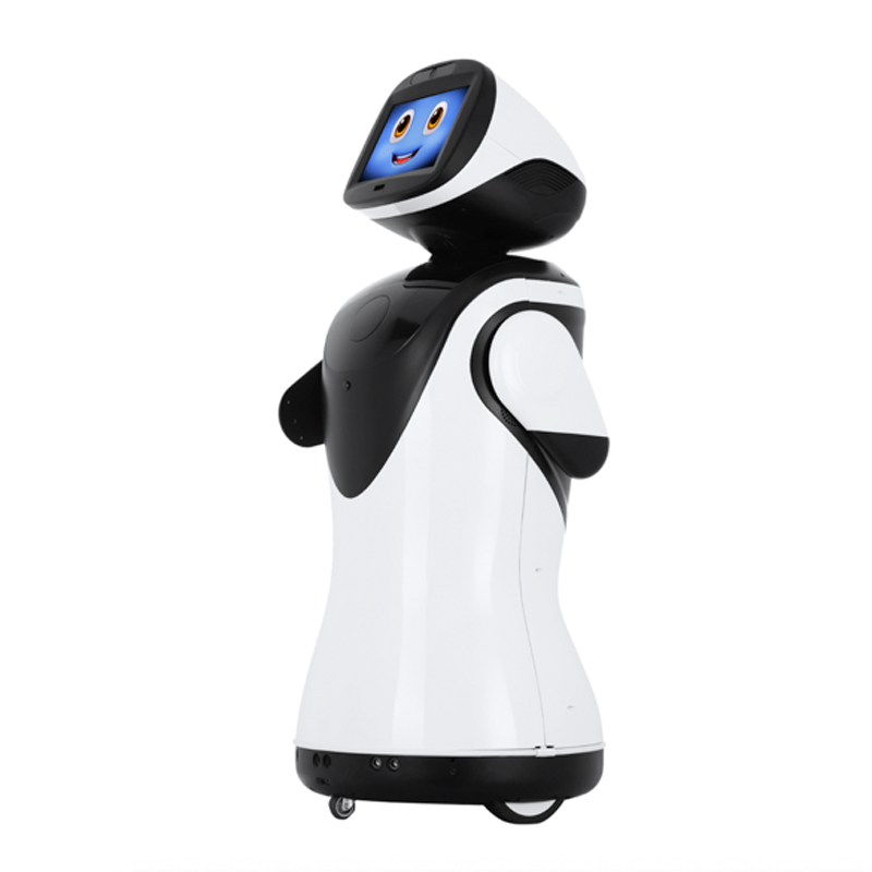 Guangzhou Inbot Technology Ltd. - PadBot P2, PadBot P3