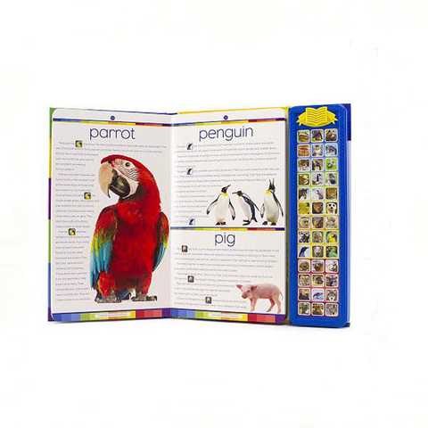 Shenzhen HXS Electronics Ltd. - sound module for books, music greeting card