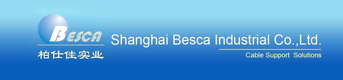 Shanghai Besca Industrial Co., Ltd.