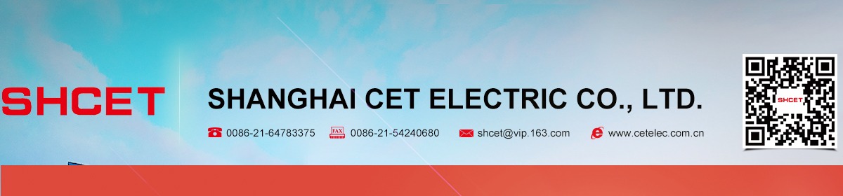 Company Overview - Shanghai Cet Electric Co., Ltd.