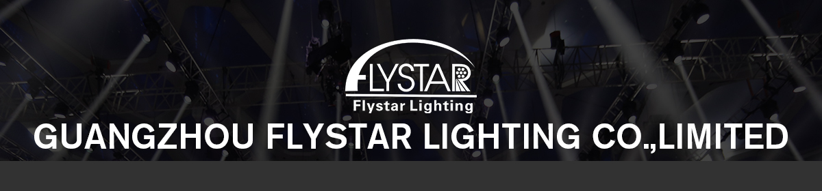 Company Overview - Guangzhou Flystar Lighting Co., Limited