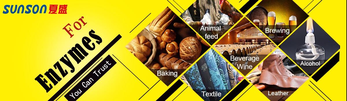 Sunson Industry Group Co., Ltd. - Catalysts and Chemical Auxiliary ...