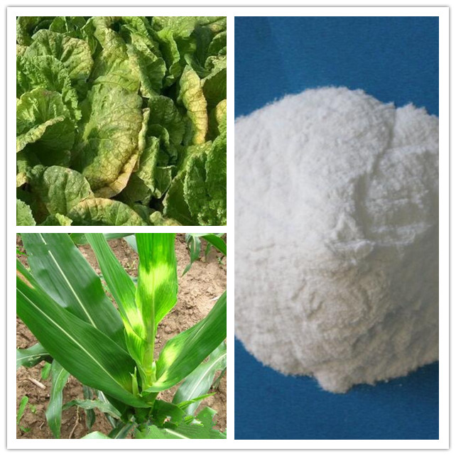 CAS NO 175013-18-0 Pyraclostrobine price - agrichemistry.com