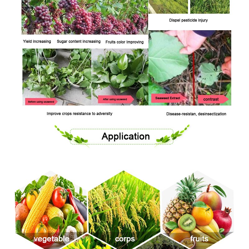 amitraz price/amitraz powder/Insecticide Amitraz - agrichemistry.com