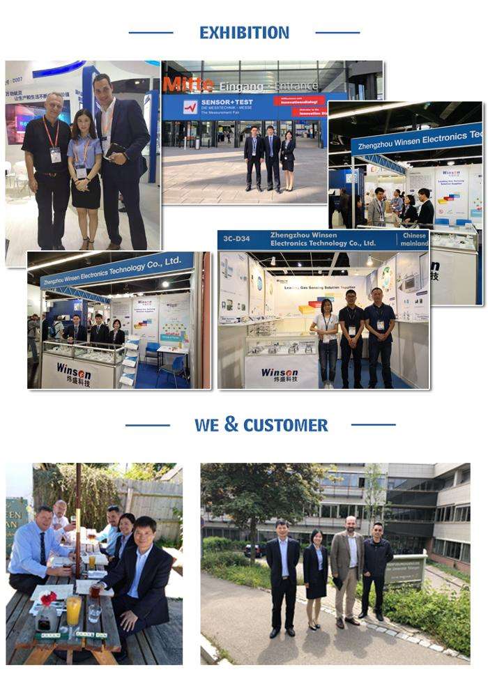 Winsen RD-624 PIR Motion Sensing Sensor Pyroelectric Infrared for ...