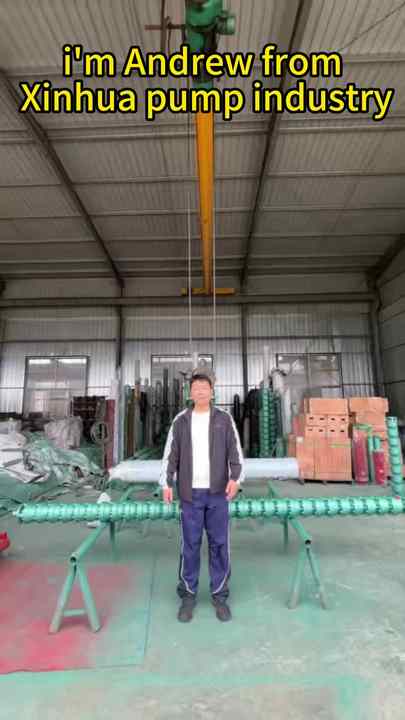 Heavy Duty Cast Iron Borewell Submersible Pump 5-1000m/h 380V ISO9001 ...