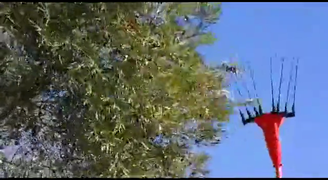 36V Electric Olive Tree Harvesting Shaker Machine - ZONLE