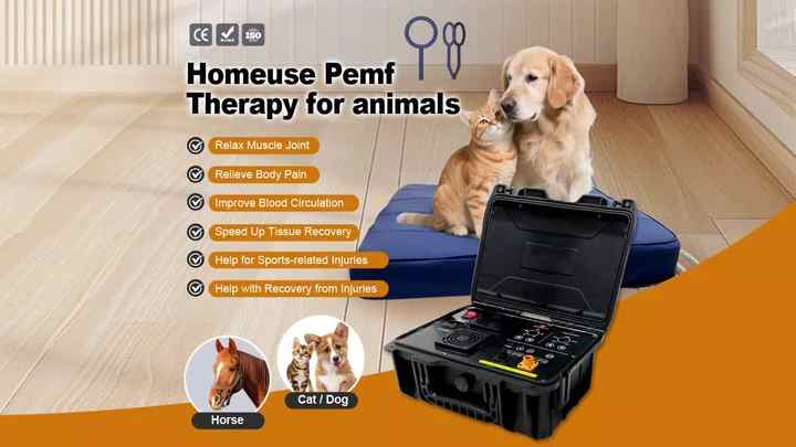 Quality of Life PEMF Device for Senior Dog Daily Care Cat Health Pulse ...