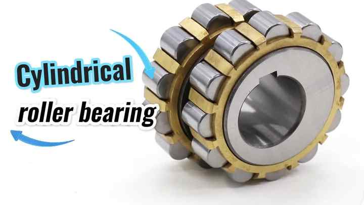 95x171x80mm Double Row Cylindrical Eccentric Roller Bearing 621 GXX ...
