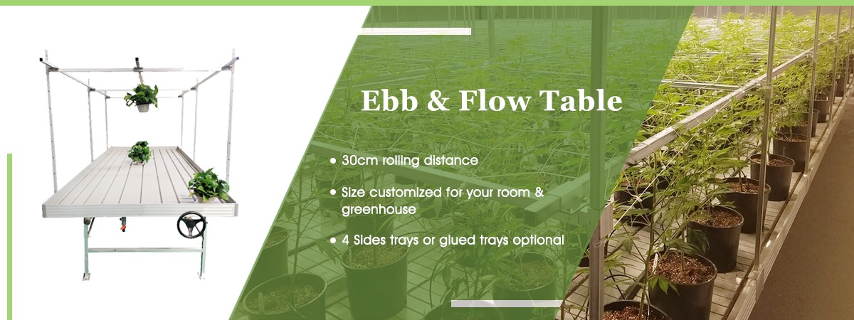 Shanghai Dehuan Industry Co., Ltd. - Irrigation and hydroponic equipment