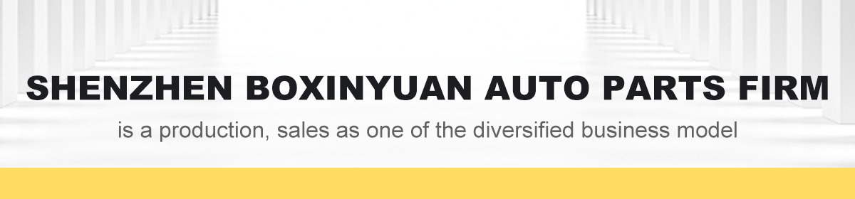 Company Overview - Shenzhen Longgang District Bo Xinyuan Auto Parts ...