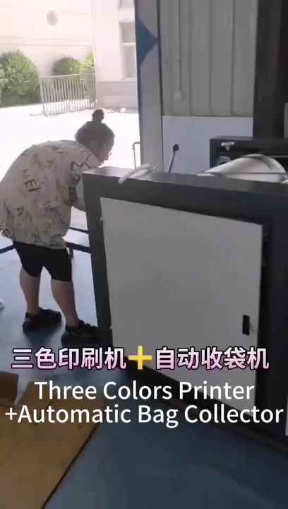 Plastic Bag Printing Machine Cement Bag Printing Machine Fertilizer Bag ...