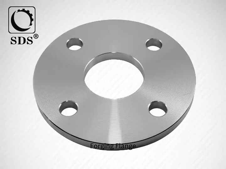 SS304 WN RF Orifice Flange ASME/ANSI Certified Forged Polished Flange ...