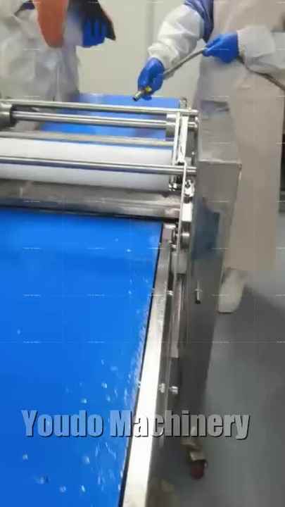 Heavy-duty Fish Skin Peeling System - Automatic & Efficient