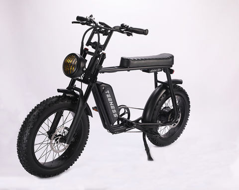 Changzhou Teeness Import And Export Co., Ltd. - Electric Bike, Electric ...