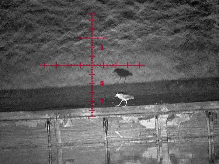 HENBAKER CY800-RL Digital Night Vision Scope for Hunting