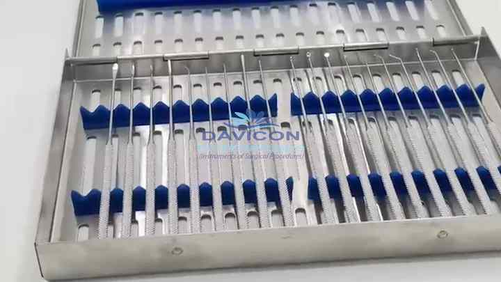 Rhoton Micro Dissector Expanded Set - 20 Pieces for Neurosurgery