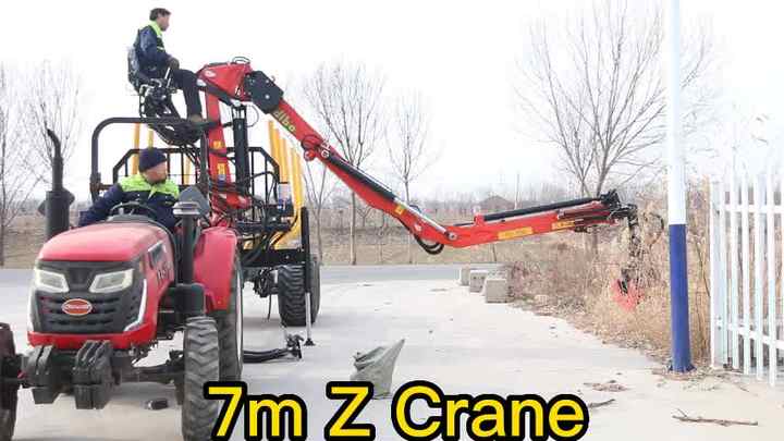 Z Type Timber Crane - 2000kg Lifting Force & Video Inspection