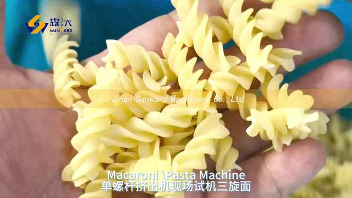200 Kg/h Capacity Pasta Double Screw Extruder Macaroni Snacks 2d 3d ...