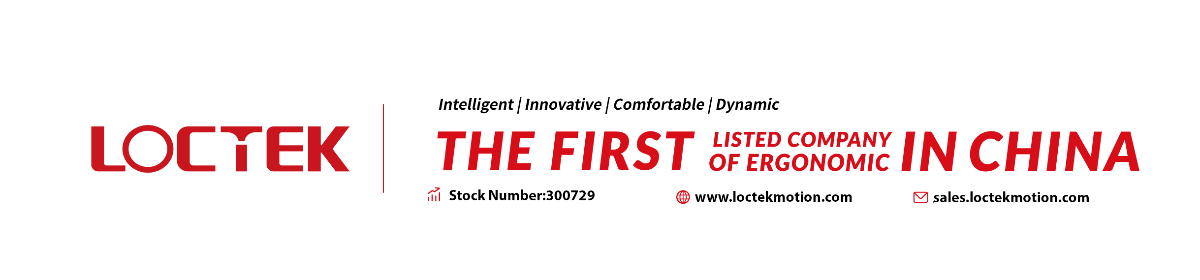 Company Overview - Loctek Ergonomic Technology Corp.