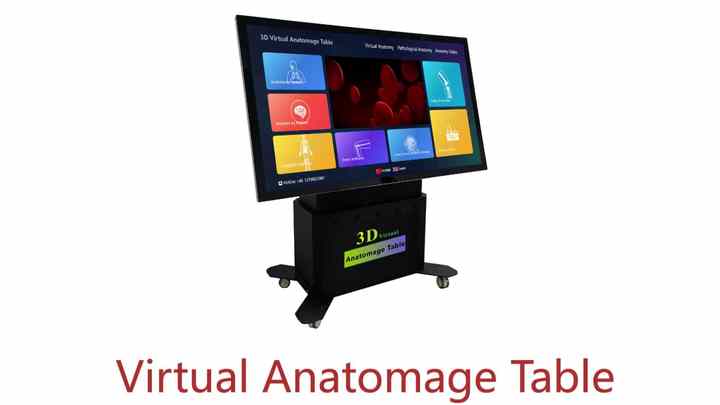 3D Anatomix HD 3D Virtual Dissection Table (Metal Electric Powered) for ...