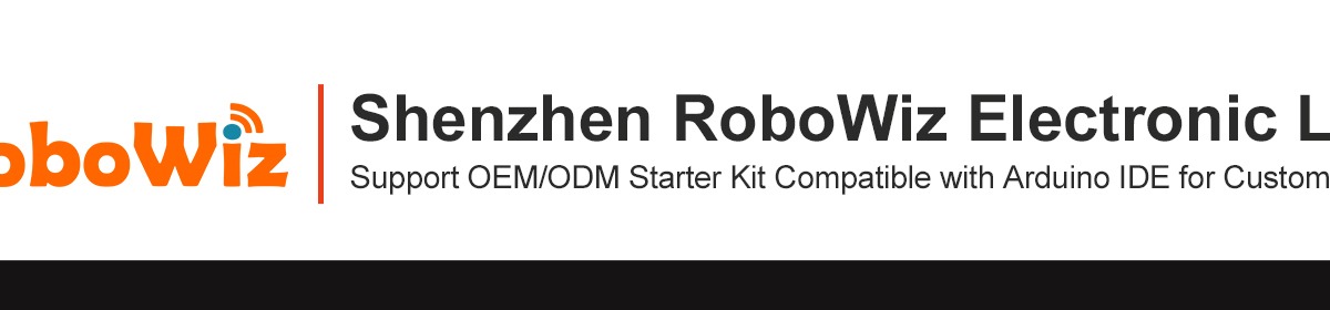 Company Overview - Shenzhen RoboWiz Electronic Ltd