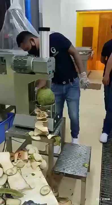Electric Coconut Peeling Machine Automatic Green Coconut Electric ...